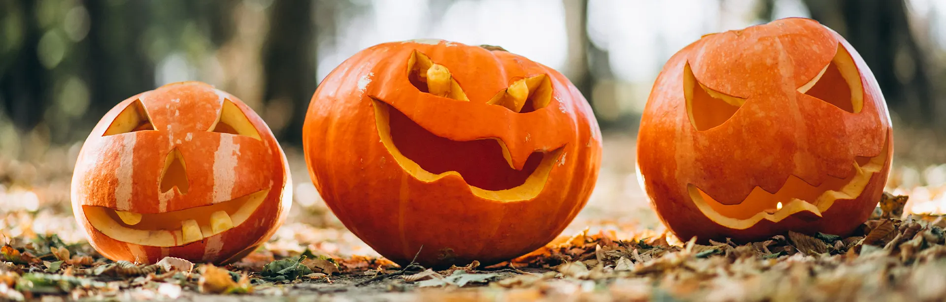 Taste Perfumes | Mistinio Helovino kvepalai